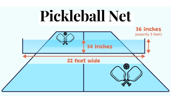 Pickleball Net Height - Pickleballs Play
