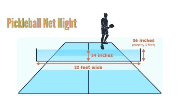 Pickleball Net Height - Pickleballs Play