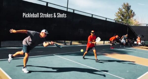 What Are Pickleball Strokes & Shots? - Pickleballs Play